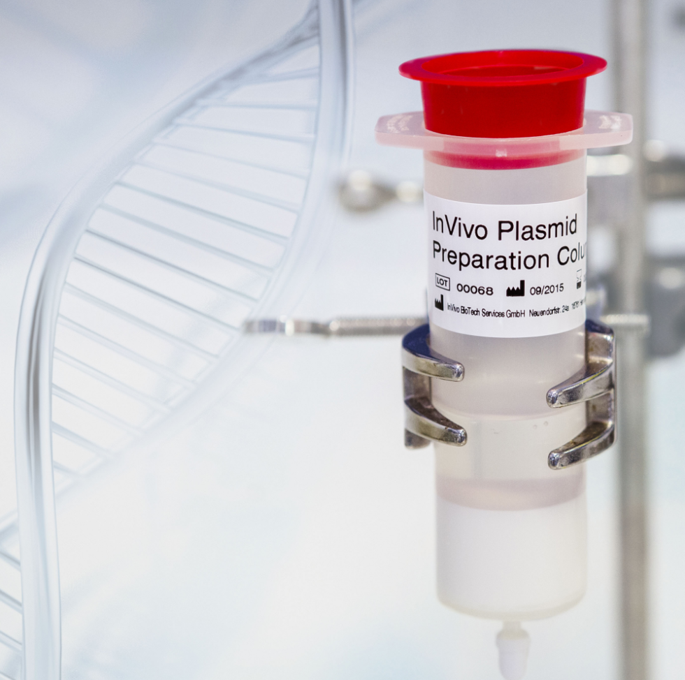 Bachelor- und Masterarbeiten - InVivo Biotech Services