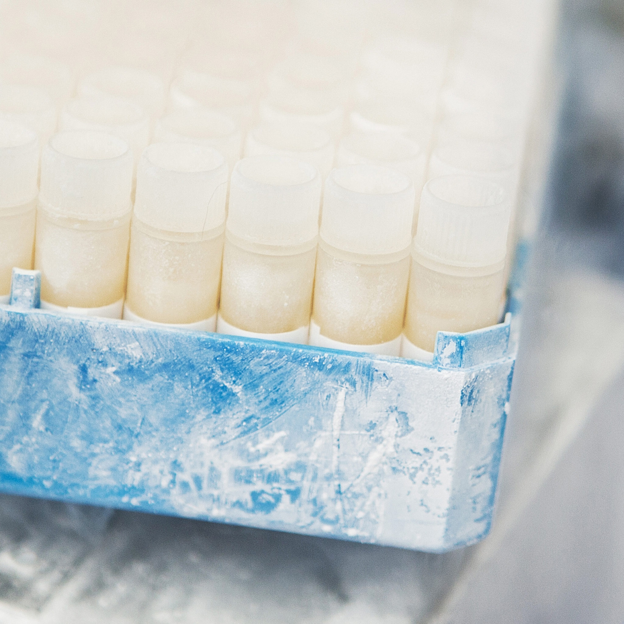 Careers - InVivo Biotech Services