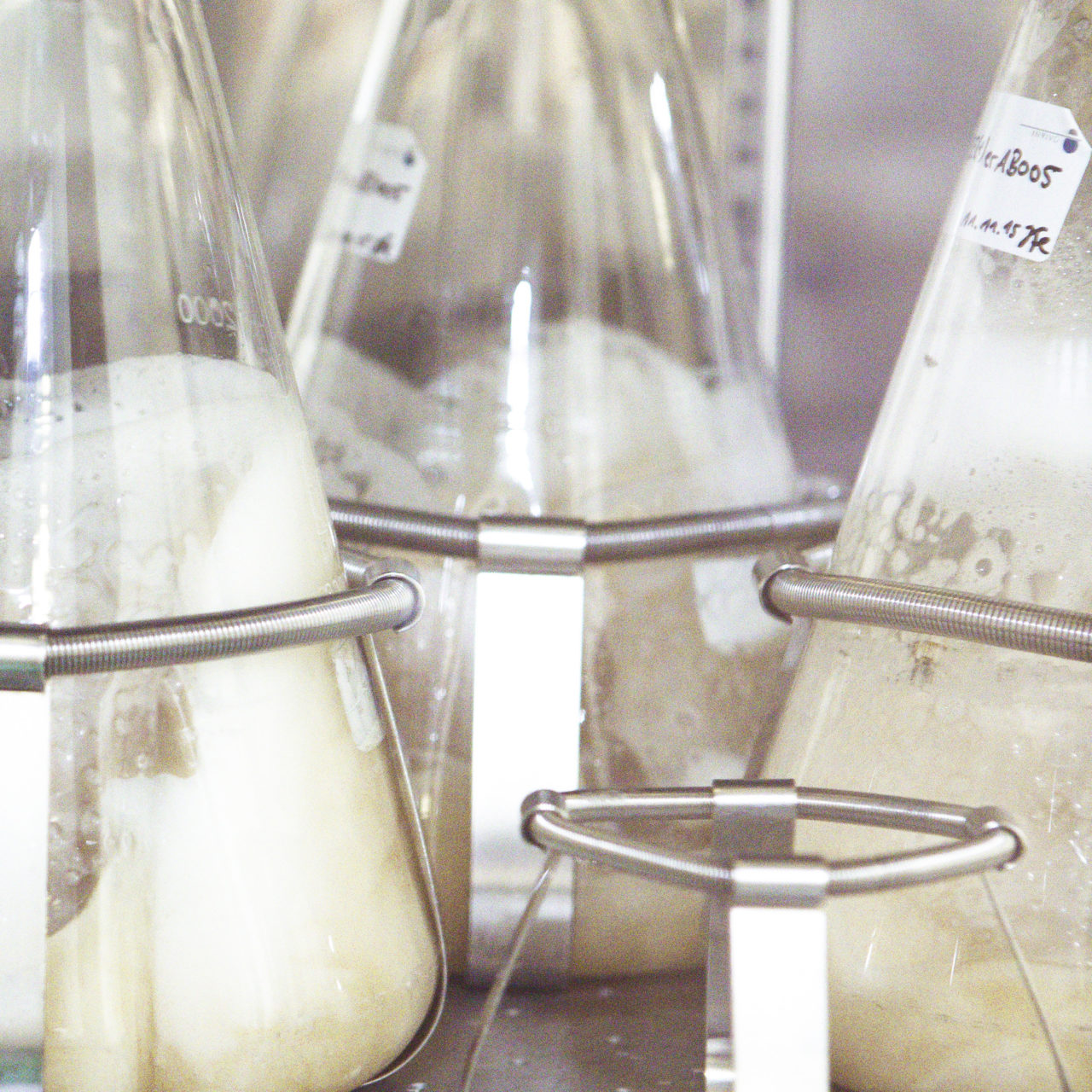 Careers - InVivo Biotech Services