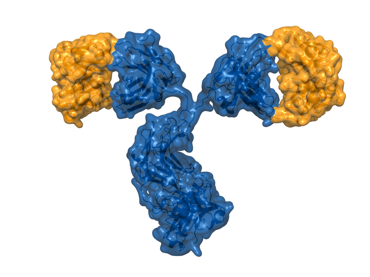 Cell line development – InVivo BioTech