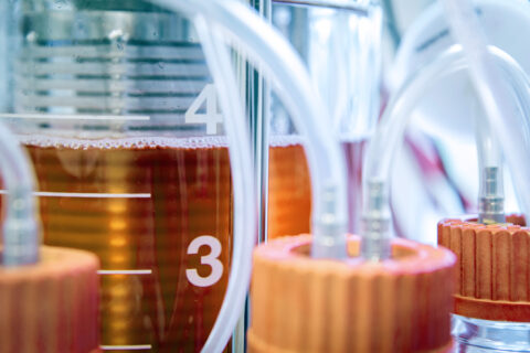 About us - InVivo Biotech Services